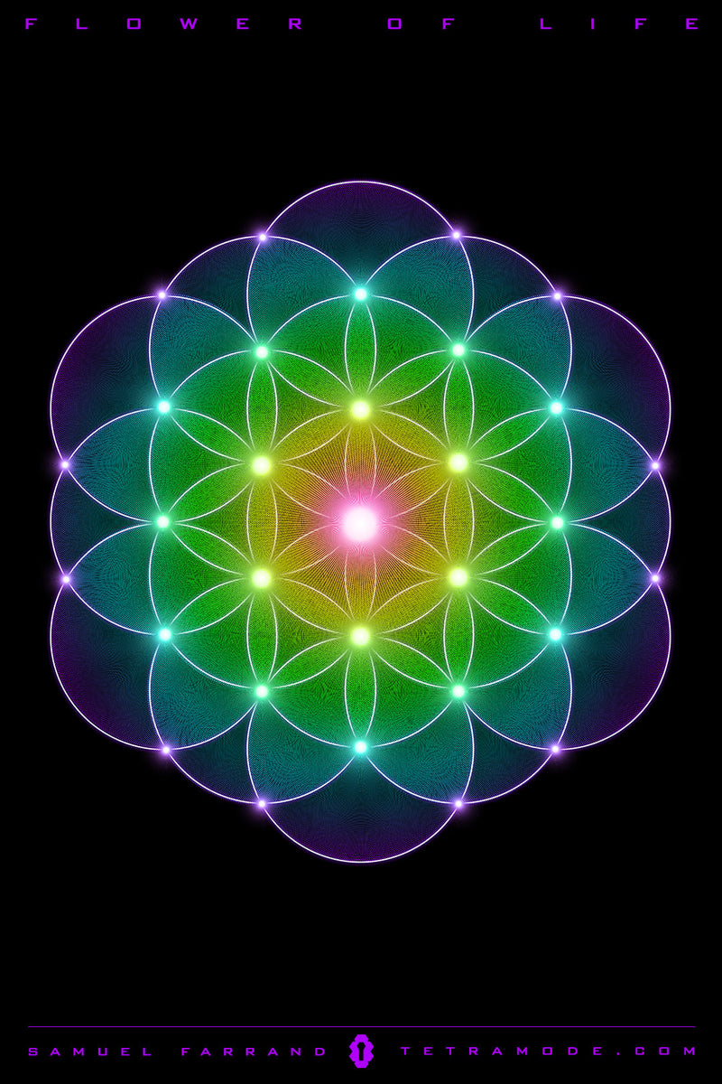 Flower of Life – Visionary Sacred Geometry Art by Samuel Farrand