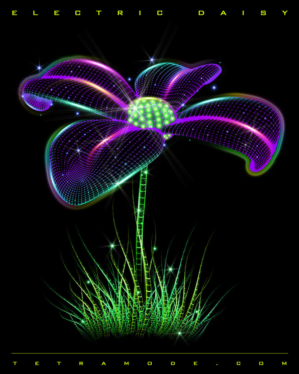 Acid Flower Psychedelic Art Collection by Samuel Farrand | Tetramode