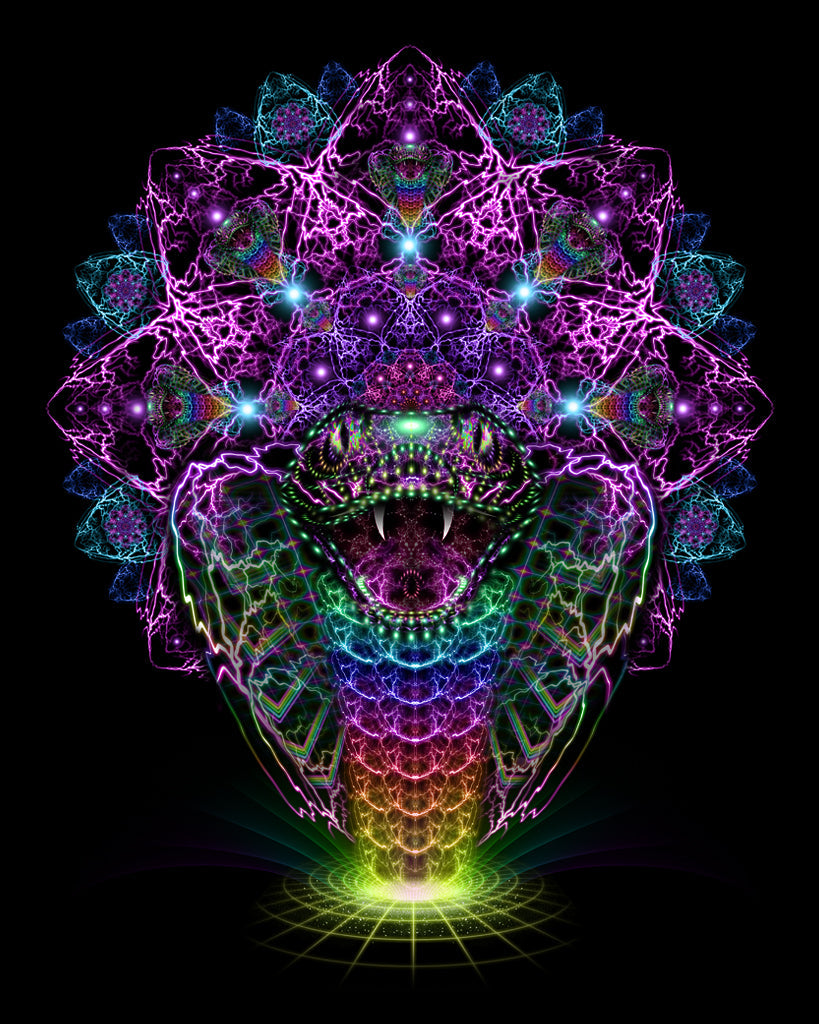 Cosmic Serpent Psychedelic Art Collection by Samuel Farrand | Tetramode