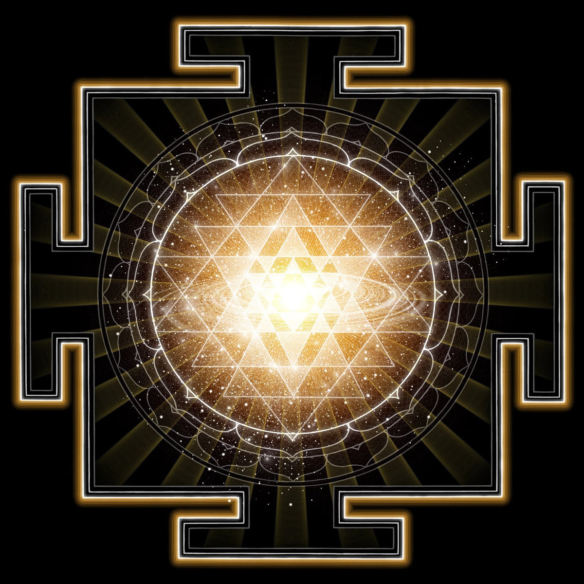 Purusha – Tetramode® | Psy Styles