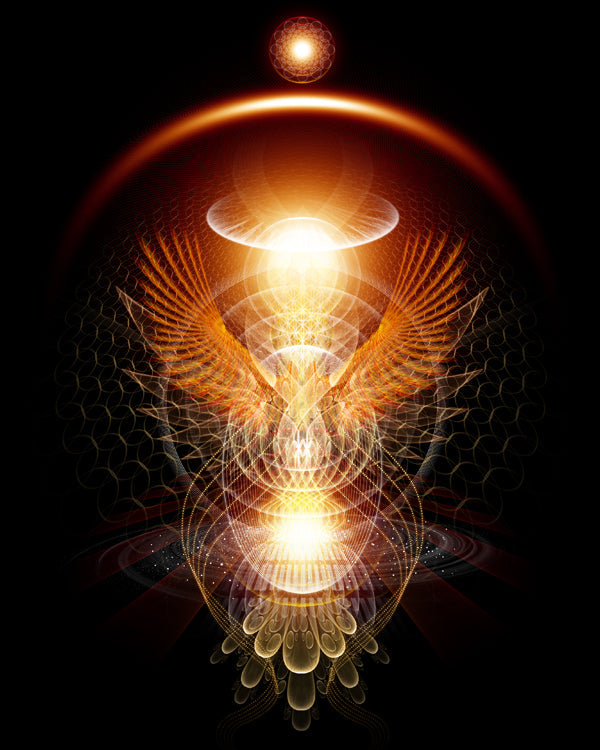 Garuda Psychedelic Art Collection by Samuel Farrand | Tetramode