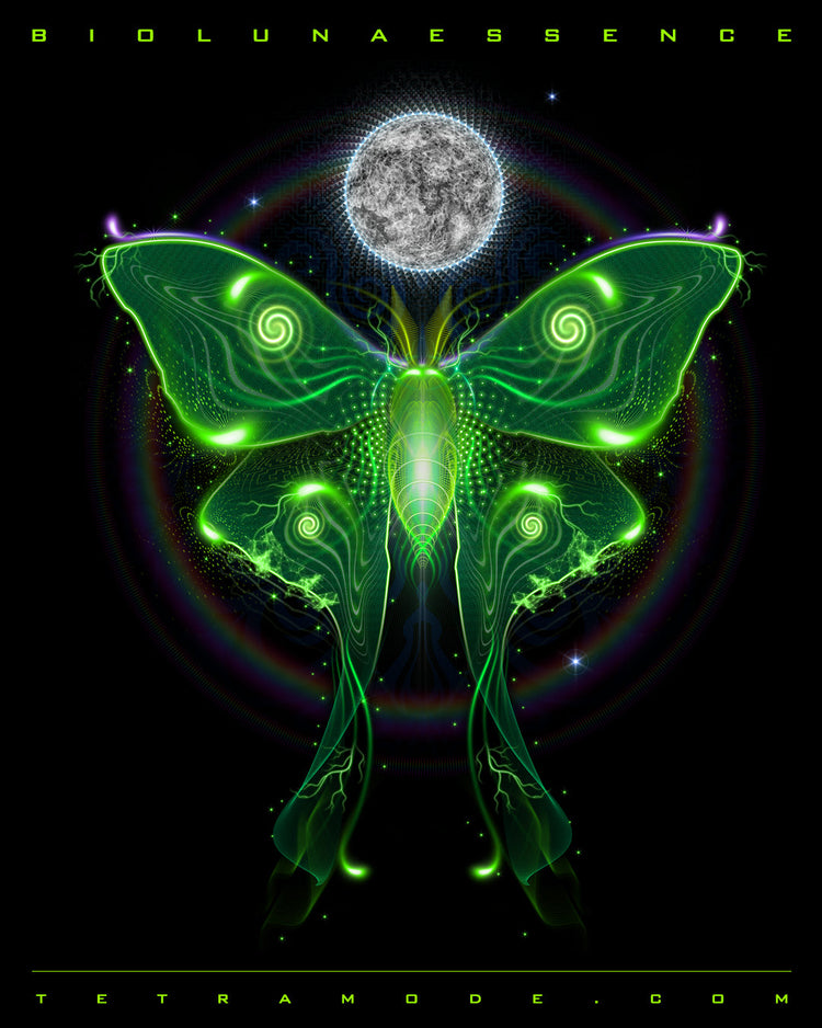 Visionary Art | Tetramode