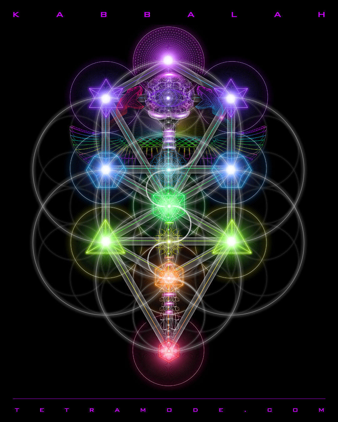 Visionary Art | Tetramode